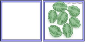 Learning with Flashcards: The Food - Language Advisor
