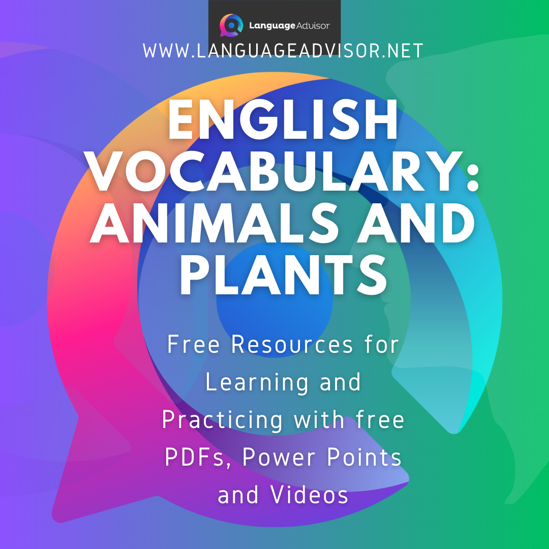 English Vocabulary Animals And Plants Language Advisor English Vocabulary Animals And Plants Language Advisor